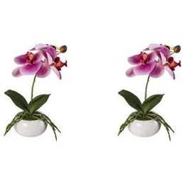 Kunstorchidee Creativ green "Phalaenopsis in Keramikschale", pink (fuchsia), H:27cm, Obermaterial: 100% Polyethylen, Kunstpflanzen, mit Real-Touch-Bl&uuml;ten
