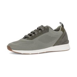 Sneaker Pius Gabor, Herren, Gr. 13 (48), salbei, Nubukleder, Textil, Schuhe Sneaker, Halbschuh, Schn&uuml;rschuh mit praktischer Anziehlasche, G-Weite
