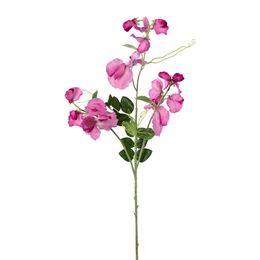 Gasper Kunstpblume Wickenzweig