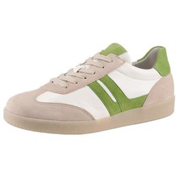 Sneaker Gabor, Damen, Gr. 36, wei&szlig; (beige, sanftes wei&szlig;, gr&uuml;n), Glattleder, Ziegenveloursleder, kontrastfarbene Details, Schuhe Sneaker, Freizeitschuh, Halbschuh, Schn&uuml;rschuh mit gepolstertem Schaftrand