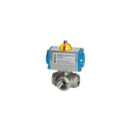 Riegler ES-Kuha, pneumat. Stellantrieb doppeltwirk., T-Bohrung T1, Rp 1 (350.914-T1)