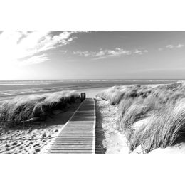 Fototapete papermoon "Strand Schwarz & Wei&szlig;", schwarz (schwarz, wei&szlig;), B:4m L:2,6m, Vlies, Tapeten