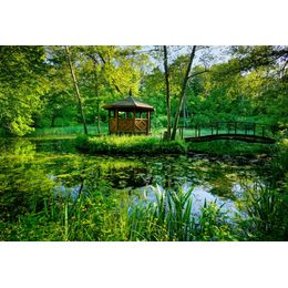 Fototapete papermoon "GARTEN-BLUMEN B&Auml;UME PFLANZEN PARK STEINE BL&Uuml;TEN WALD", bunt, B:4m L:2,6m, Vlies, Tapeten