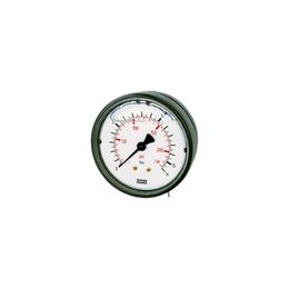 Riegler Glyzerinmano., Kunststoff, G 1/4 hinten zentr., 0-60,0 bar, &Atilde;&tilde; 63 (811-K)
