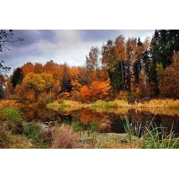 Fototapete papermoon "Fluss am Wald", bunt, B:4m L:2,6m, Vlies, Tapeten