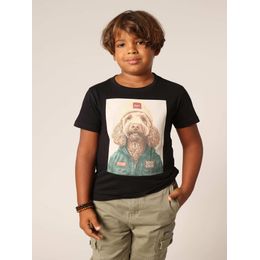 Deeluxe T-Shirt 'Cabo' Jungen Gr&ouml;&szlig;e 170/176 beige / dunkelbraun / dunkelgr&uuml;n / schwarz