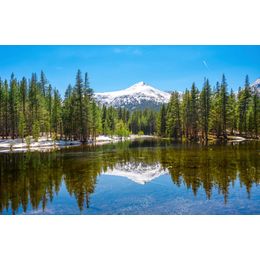 Fototapete papermoon "YOSEMITE-SEE GEBIRGE BERGE ALPEN SONNE WALD B&Auml;UME", bunt, B:4m L:2,6m, Vlies, Tapeten
