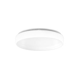 RZB ZIMMERMANN RZB LED-Wand-/Deckenleuchte 3000K D300 H65 312084.002.1)