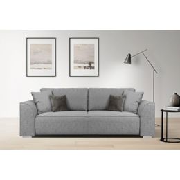 3-Sitzer Inosign "BEATRICE, B: 250 cm - wahlweise mit Bettfunktion", grau, B:250cm H:92cm T:107cm, Sofas, u. Bettkasten, incl. 2 Zierkissen