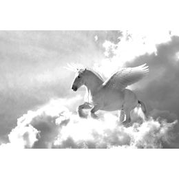 Fototapete papermoon "Pegasus Schwarz & Wei&szlig;", schwarz (schwarz, wei&szlig;), B:4m L:2,6m, Vlies, Tapeten
