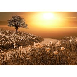 Fototapete papermoon "Magische Landschaft", bunt, B:4m L:2,6m, Vlies, Tapeten