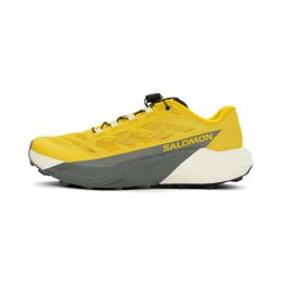 Salomon Pulsar Herren