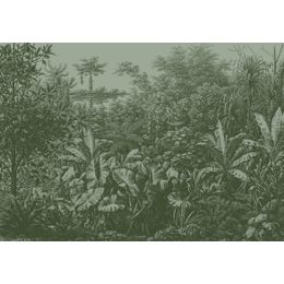 Fototapete "Rainforest", gr&uuml;n, B:3,5m H:0m L:2,7m, Vlies, LOOKS by Wolfgang Joop, Tapeten, 350x270cm