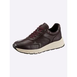 Heine Sneaker