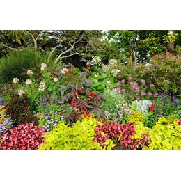 Fototapete papermoon "GARTEN-B&Auml;UME BLUMEN PFLANZEN PARK STEINE WALD BL&Uuml;TEN", bunt, B:4m L:2,6m, Vlies, Tapeten
