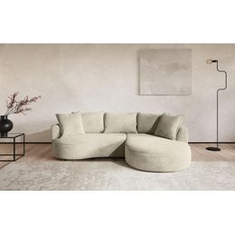 Ecksofa COTTA "Sana L-Form, Breite 260 cm", natural, B:260cm T:160cm, 95% POLYESTER (PES) 5% POLYAMID(PA), Sofas, Ecksofa, Loungesofa mit Wellenunterfederung
