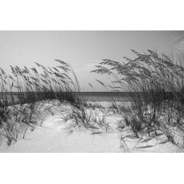 Fototapete papermoon "Strand Schwarz & Wei&szlig;", schwarz (schwarz, wei&szlig;), B:4m L:2,6m, Vlies, Tapeten