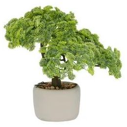 Kunstbonsai Creativ green "Bonsai Sedum multiceps", gr&uuml;n, B:26cm H:24cm T:20cm, Kunststoff, Kunstpflanzen, mit modernem Pflanzgef&auml;&szlig;