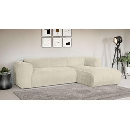 Ecksofa Home Affaire "GENTON L-Form (257 cm), zeitlos & stilvolles Design", beige (creme), B:257cm H:78cm T:161cm, 100% Polyester, Sofas, Ecksofa, Aufwendig gepolstert, in Cord, Chenille und Struktur