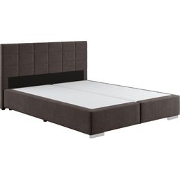Boxspringbett COTTA "Simba", grau, L:209cm, Komplettbetten, Boxspringbett, wahlweise mit oder ohne Matratze und Topper bestellbar