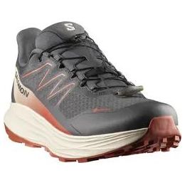 Trailrunningschuh Salomon "ALPHARIDE 2 GORE-TEX", Herren, Gr. 43, asphalt, arabian spice, rainy day, Synthetik, Textil, Schuhe, wasserdicht