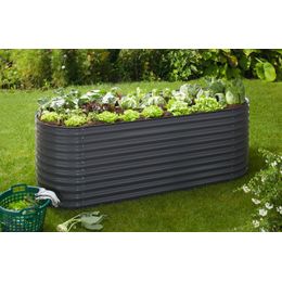 Hochbeet Konifera "bodenloses Gartenbeet aus verzinktem Stahl", grau (anthrazit), B:240cm H:82cm T:80cm, Stahl, Pflanzgef&auml;&szlig;e, witterungsbest&auml;ndig, BxTxH: 240x80x82 cm, in 2 Farben