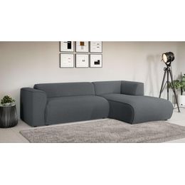 Ecksofa Home Affaire "GENTON L-Form (257 cm), zeitlos & stilvolles Design", grau (anthrazit), B:257cm H:78cm T:161cm, 100% Polyester, Sofas, Ecksofa, Aufwendig gepolstert, in Cord, Chenille und Struktur