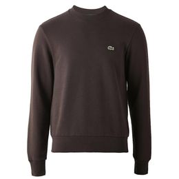 Lacoste Sweatshirt male Brown size S
