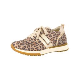 Sneaker Paul Green "Paul Green Sneaker Leder", Damen, Gr. 36, leopard, Leder, Schuhe Sneaker