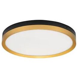 NOVA LUCE LED Deckenleuchte "CANTRIA", schwarz, 1, &Oslash; 40cm H: 5cm, 1 Stk., Leuchten, LED Deckenleuchte