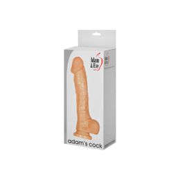Adam&acute;s Cock, 25 cm