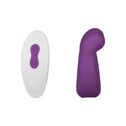 EIS Silikon Partnervibrator mit Fernbedienung