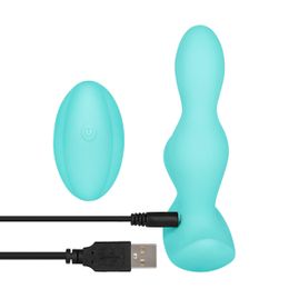 EIS Analvibrator mit Fernbedienung, 12 cm
