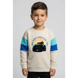 Sweatshirt Blue Seven, Jungen, Gr. 110, kiesel, Sweatware, Obermaterial: 100% Baumwolle, bedruckt, Basic normal, Rundhals, Rippb&uuml;ndchen, Sweatshirts Sweatshirt