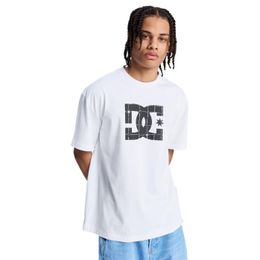 T-Shirt DC Shoes "DC Star Filled", Herren, Gr. M, wei&szlig;, Obermaterial: 75% Walkfrottier, 25% Walkfrottier;, Shirts T-Shirt