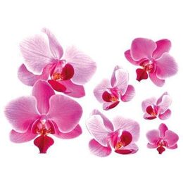 Bilderwelten Wandtattoo Blumen Motiv selbstklebend Wandaufkleber - Rosa Orchideen - Orchidee Wohnzimmer Schlafzimmer