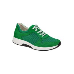 Gabor Schn&uuml;rschuh 'Gabor RollingSoft Schuhe gr&uuml;n verde 66.946.32' Damen Gr&ouml;&szlig;e 42 gr&uuml;n
