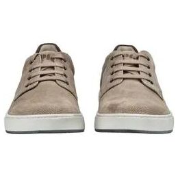 Sneaker PIUS Gabor "Pius Gabor Sneaker Veloursleder", Herren, Gr. 43, beige, grau, Veloursleder, Schuhe Sneaker