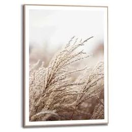 Kunstdruck Reinders "Gras", beige (farbe bild(er): beige), B:50cm H:70cm T:1,6cm, MDF, Bilder