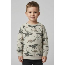 Sweatshirt name it "NMMBERTIL LS NREG SWEAT BRU", Jungen, Gr. 116, pumice stone, angeraute Sweatware, Obermaterial: 95% Baumwolle, 5% Elasthan, bedruckt, normal normal, Rundhals, Rippb&uuml;ndchen, Sweatshirts Sweatshirt