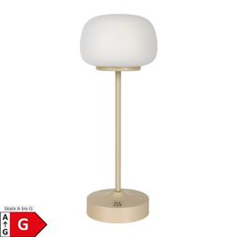 N&auml;ve N&auml;ve LED Akku-/Tischleuchte "PINA" H: 30cm beige