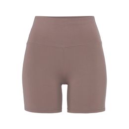 Lascana Damen Shorts, Gr. 36, grau, Single Jersey, Obermaterial: 95% Baumwolle, 5% Elasthan, unifarben, Basic, Hosen, mit breitem B&uuml;ndchen und