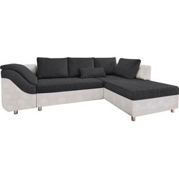 Ecksofa Collection AB "Sally L-Form", grau (silbergrau, anthrazit), B:256cm H:87cm T:165cm, Microfaser PRIMABELLE (100% Polyester) / Struktur (80% Polyester, 20% Acryl);Struktur (80% Polyester, 20% Acryl);Kunstleder SOFTLUX / Struktur (80% Polyester, 20% Acryl);Microfaser PRIMABELLE (100% Polyester) / Cord (100% Polyester), Sofas, Ecksofa, mit und ohne Bettfunktion, inklusive loser R&uuml;cken- und Zie