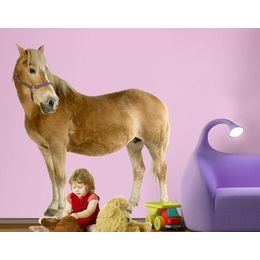 Bilderwelten Wandtattoo Tiere modern selbstklebend Wandaufkleber - No.308 Haflinger - Pferde Kinderzimmer Baby M&auml;dchen Jungen