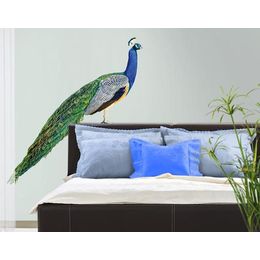 Bilderwelten Wandtattoo No.320 Pfau