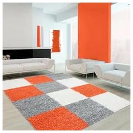 Hochflor-Teppich Ayyildiz TEPPICHE "Life Shaggy 1501" Gr. 3, orange (terra), B:120cm H:30mm L:170cm, Kunstfaser, Teppiche, Wohnzimmer