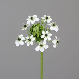 DPI Kunstblume Ornitogalum
