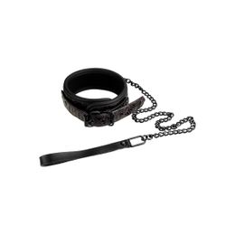 dreamtoys Collar and Leash