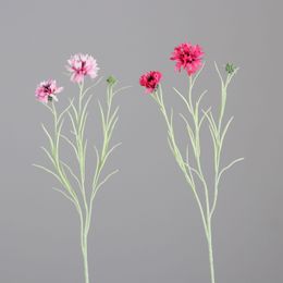 DPI Kunstblume Kornzweig
