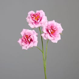 DPI Kunstblume Rosenzweig